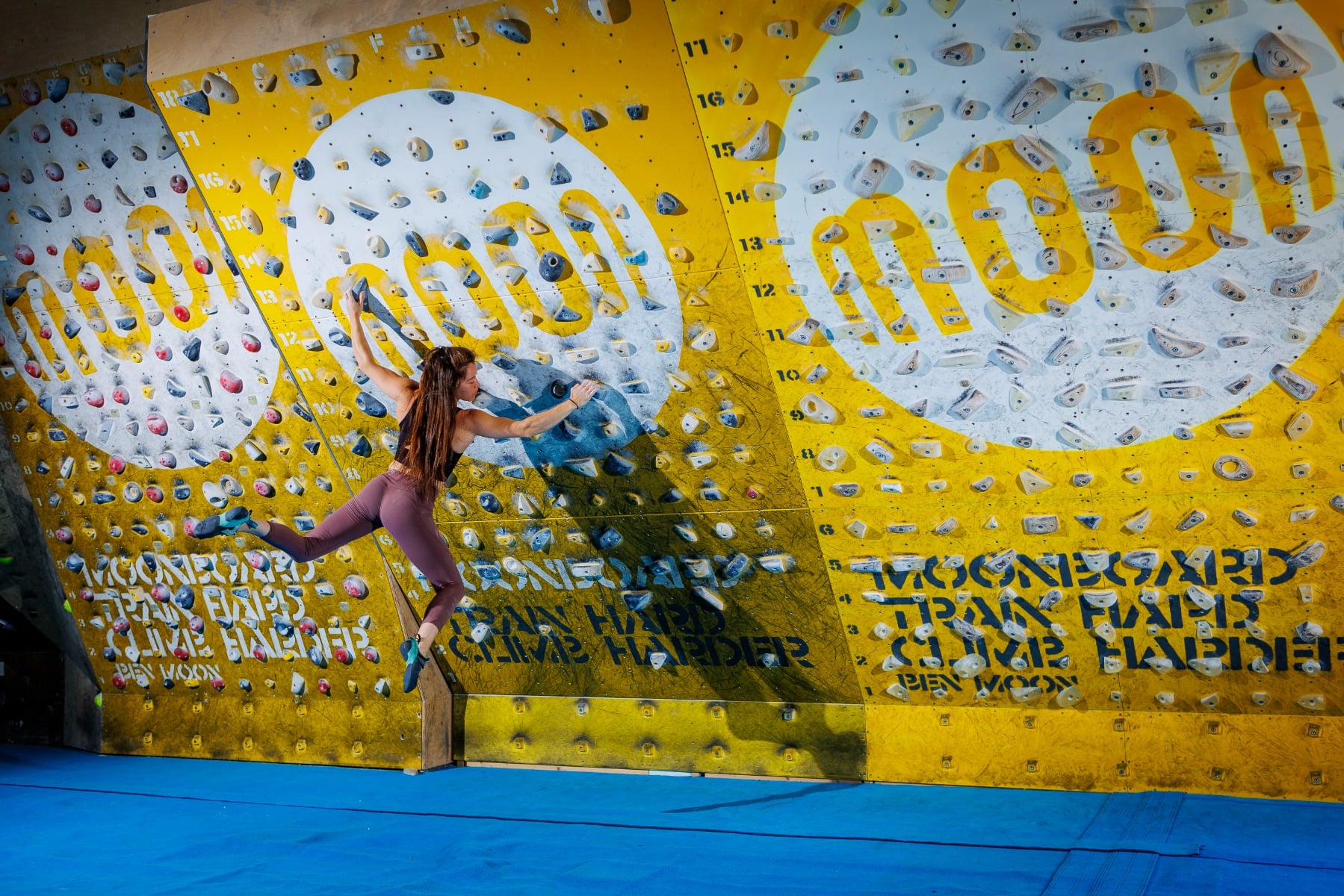 MoonBoard DIY Kit - 2016 Hold Setup