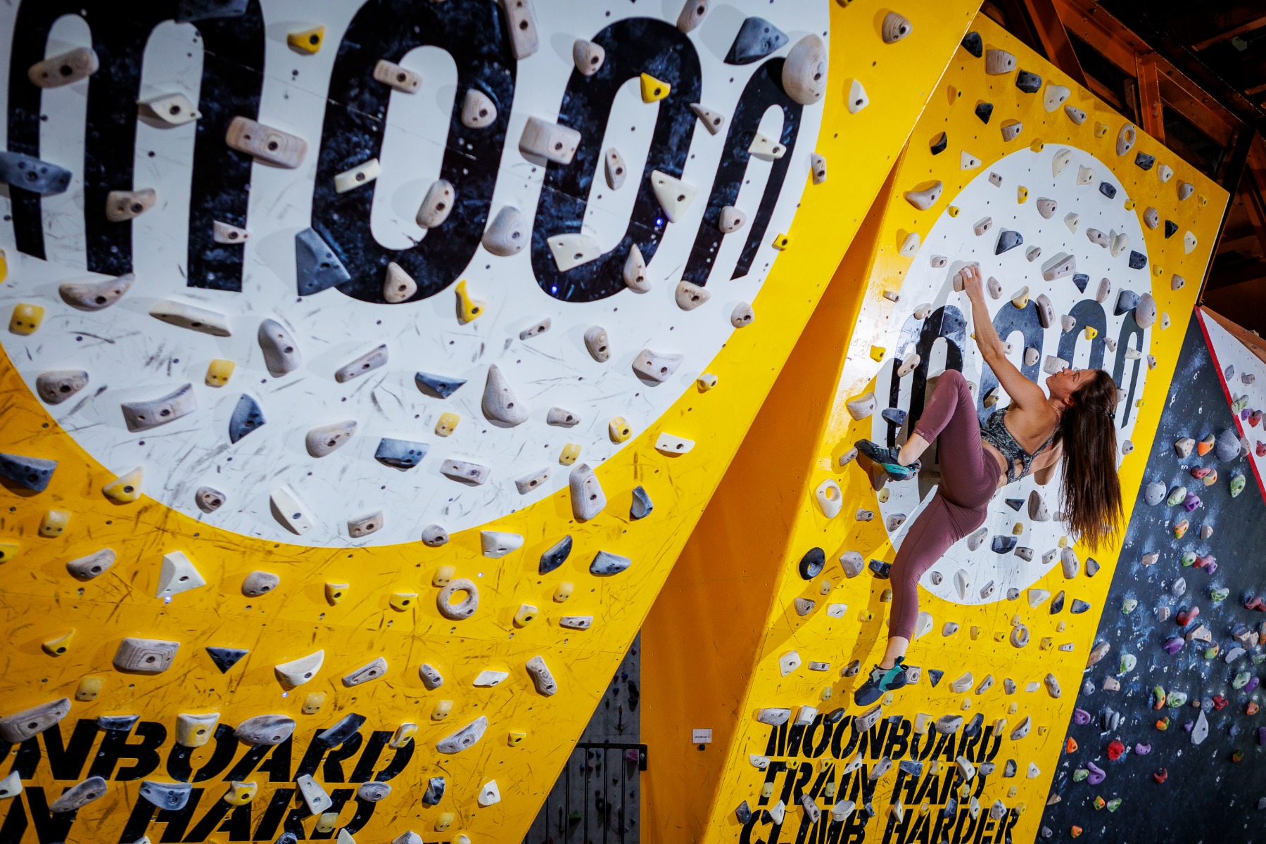 MoonBoard DIY Kit - 2019 Hold Setup