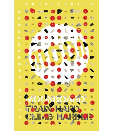 Freestanding MoonBoard Kit - 2017